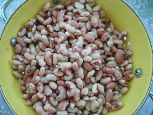 Anasazi Bean, Potato, Leek and Green Chile Soup- Eat Local Challenge ...