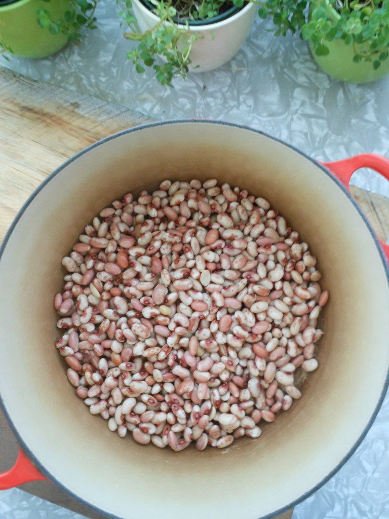 Anasazi Bean, Potato, Leek and Green Chile Soup- Eat Local Challenge ...